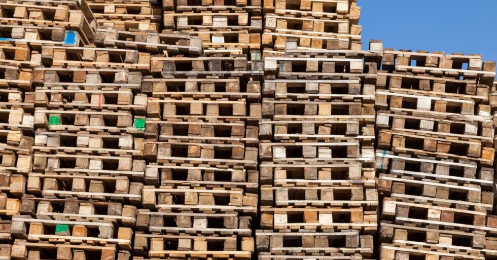 Everything You Should Know About Combo Pallets